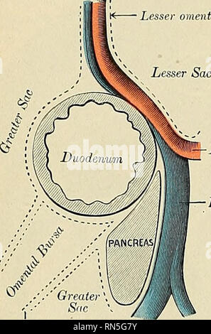 . Anatomy, descriptive and applied. Anatomy. THE DUODENUM 1285 to left ...