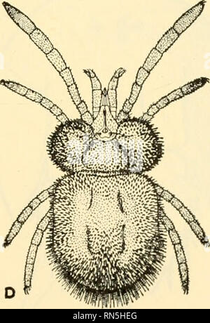 . Animal biology. Zoology; Biology. ^m K);'. Parasites Fig. 29 ...