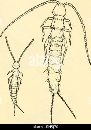 . Animal biology. Zoology; Biology. CLASS INSECT A 273 parts. In ...