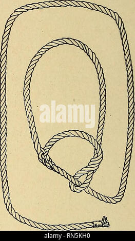 . Animal husbandry for schools. Livestock. 32 Animal Husbandry 42. The ...
