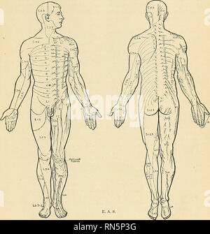 . Anatomy, descriptive and applied. Anatomy. THE ANTERIOR THORACIC ...