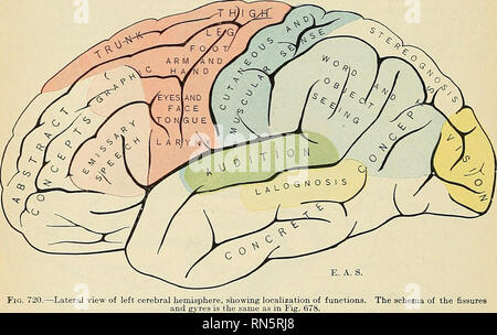 . Anatomy, descriptive and applied. Anatomy. THE CEREBRAL HEMISPHERES ...