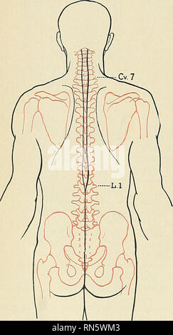 . Anatomy, descriptive and applied. Anatomy. CORTICAL LOCALIZATION OF ...