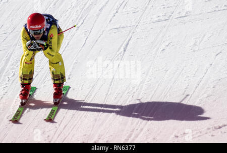 Feldberg, Germany. 17th Feb, 2019. Ski Cross: World Cup, Round of 16 ...