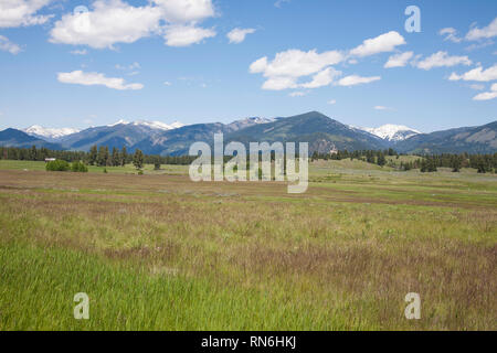 Swan Mountain Range, Rockies, MT Stock Photo - Alamy
