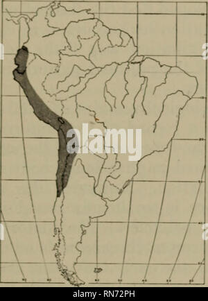 Spanish conquest of the Inca Empire (1532-1572). Expedition of Stock ...