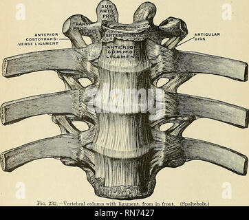 . Anatomy, descriptive and applied. Anatomy. TRANSVERSE AURICULAR ...