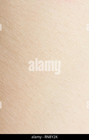 Healthy pattern of young skin. Texture of human skin with cells Stock ...