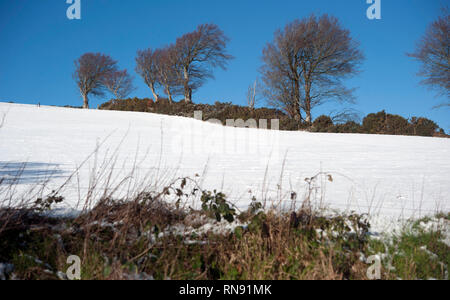 Snow fall, Bunclody, Wexford, Ireland, Eire, Europe Stock Photo - Alamy