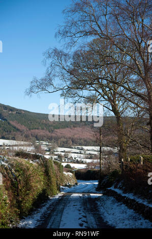 Snow fall, Bunclody, Wexford, Ireland, Eire, Europe Stock Photo - Alamy