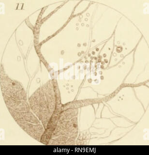 . The anatomical memoirs of John Goodsir. Anatomy. PULPS AND SACS OF ...