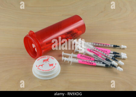 Oral premeasured dose syringes of prescription liquid pain medicine ...