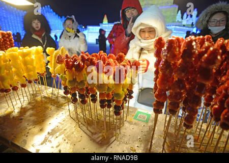 Tourists flock to the Harbin Ice and Snow World in Harbin City ...