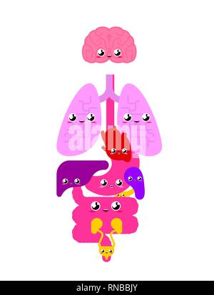 Cute organs. Happy human, Set of smiling characters. Vector pins ...