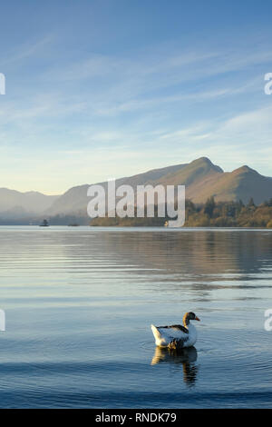 The Derwentwater circular walk around the lake, Borrowdale, Keswick ...