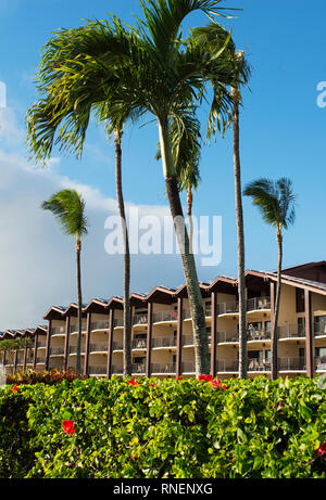 Hawaii Kauai at Lawai Beach Stock Photo - Alamy