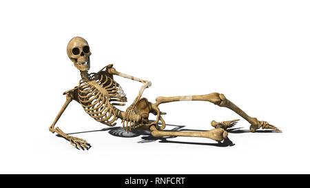 Human skull bone laying on the ground Stock Photo - Alamy