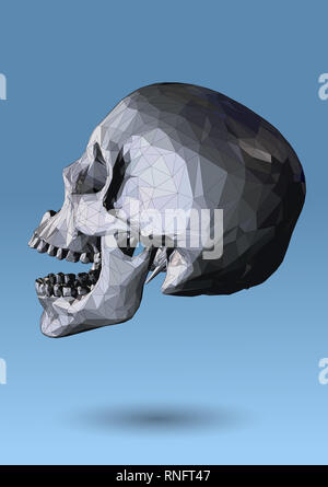 Low poly vector skull side view in 3d realistic render look Stock Photo - Alamy