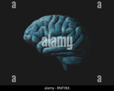 Blue and green engraving brain side view illustration old style on ...