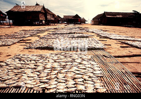 1982 - Drying racks filled with fish in a native village in Indonesia ...