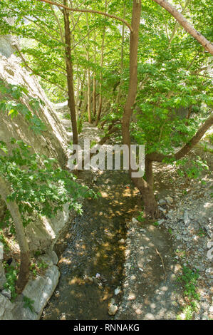 Tributary of the Vardar River flowing through the Iron Gate mountain ...