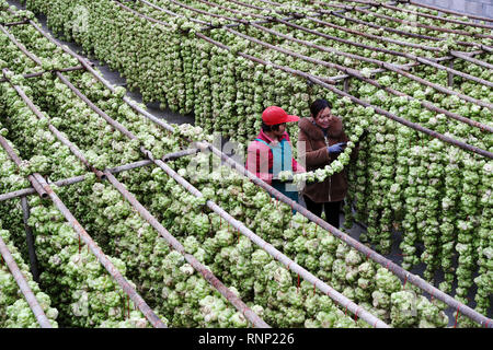 Chongqing, China. 19th Feb, 2019. Chongqing, CHINA-Peasants are busy ...