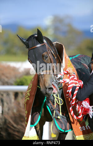 Kyoto, Japan. 16th Feb, 2019. World Premiere Horse Racing : World ...