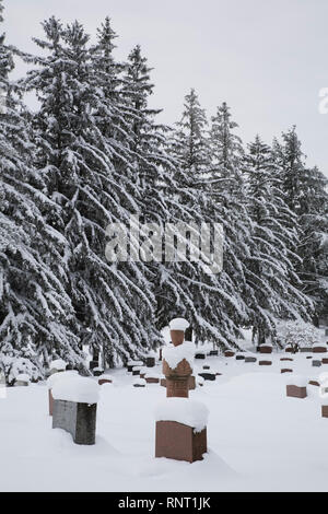 Cemetery in winter, Knowlton, Eastern Townships, Quebec, Canada Stock ...