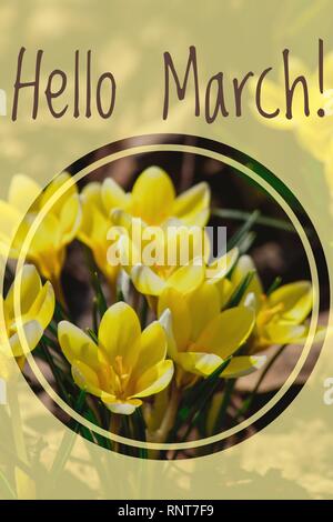 banner Hello March.Greeting card. The beginning of the new season ...