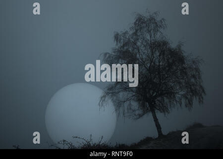 Tree at the edge of an abyss flanked by a mountain road on full moon ...