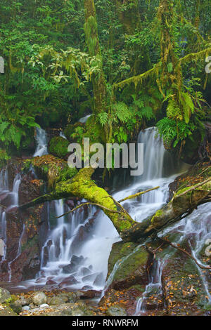 Hot spring flowing through valley Stock Photo - Alamy