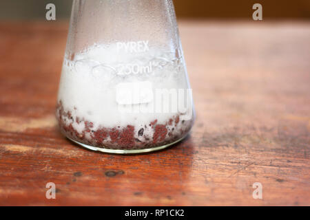 Making hydrogen gas. Zinc is reacting with hydrochloric acid in the ...