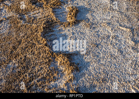 Details of halite deposits on a shore of Dead Sea in Jordan Stock Photo ...