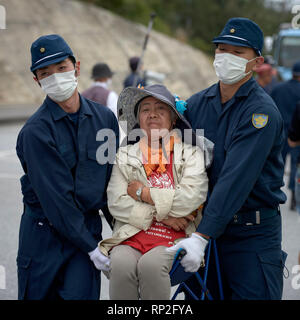 Henoko, Okinawa, Japan. 19th Feb, 2019. Police carry a man away from ...