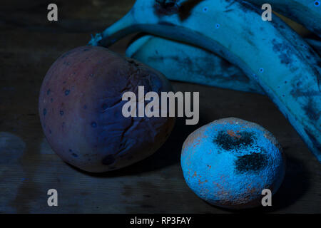Decaying fruit from fruit bowl, decomposing due to fungi and glowing ...