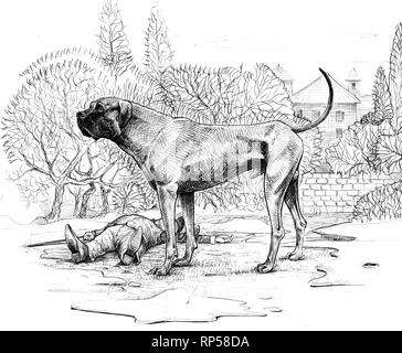 The Hound of the Baskervilles Stock Photo - Alamy