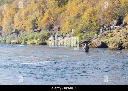 Faxi waterfall in Iceland with a fish ladder for salmon on the left ...