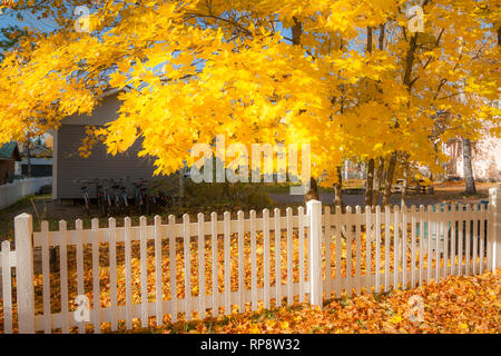 Beautiful colorful autumn scene with bikes, white fence and fall colors ...