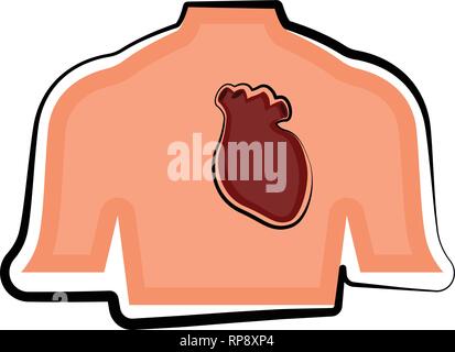 vector Illustration of a Human Hearth Anatomy Stock Vector Image & Art ...