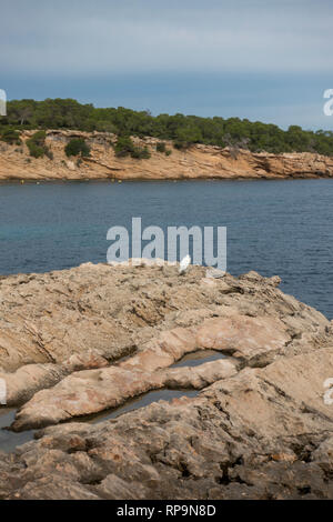 The coast of Ibiza one day with very bad sea, Spain Stock Photo - Alamy