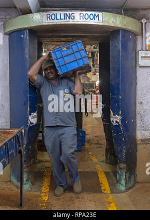 A worker at work in the Lockhart tea factory using new macinery smiling ...