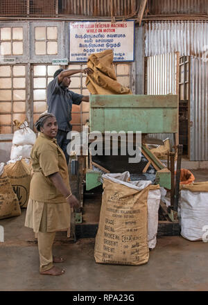 Workers at work in the Lockhart tea factory using traditional methods ...