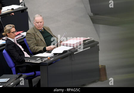 Alice Weidel at the 83rd session of the 21st German Bundestag in the ...