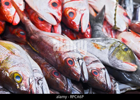 maya maya, snapper fish for sale in philippines Stock Photo - Alamy
