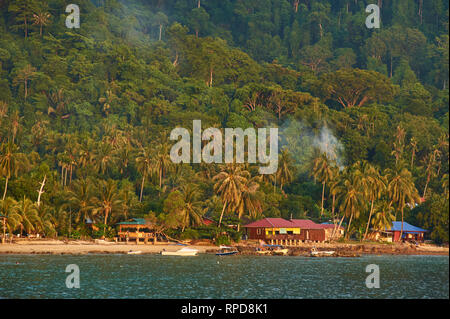 ABC beach and rainforest on Tioman island, Maiaysia Stock Photo - Alamy