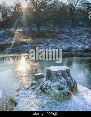 Frosty morning winter scene at Bradgate Park near Leicester ...