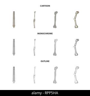 knee,femur,fracture,joint,bony,pain,meniscus,leg,bias,body,injury,foot ...