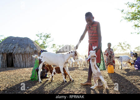 Zemba people in their morning routine in a village near Epupa, Namibia ...