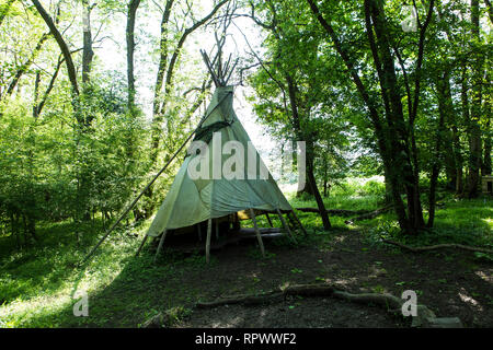 Tipi in woodland at springtime, Kent, UK Stock Photo - Alamy