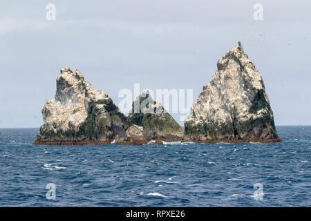 Shag Rocks, South Georgia, 4 January 2019 Stock Photo - Alamy